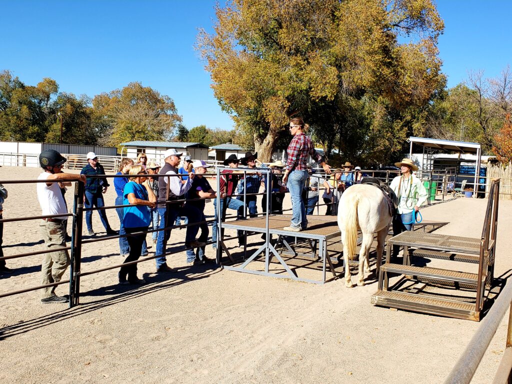 Coaching & Clinics - Hoof Falls & Footfalls